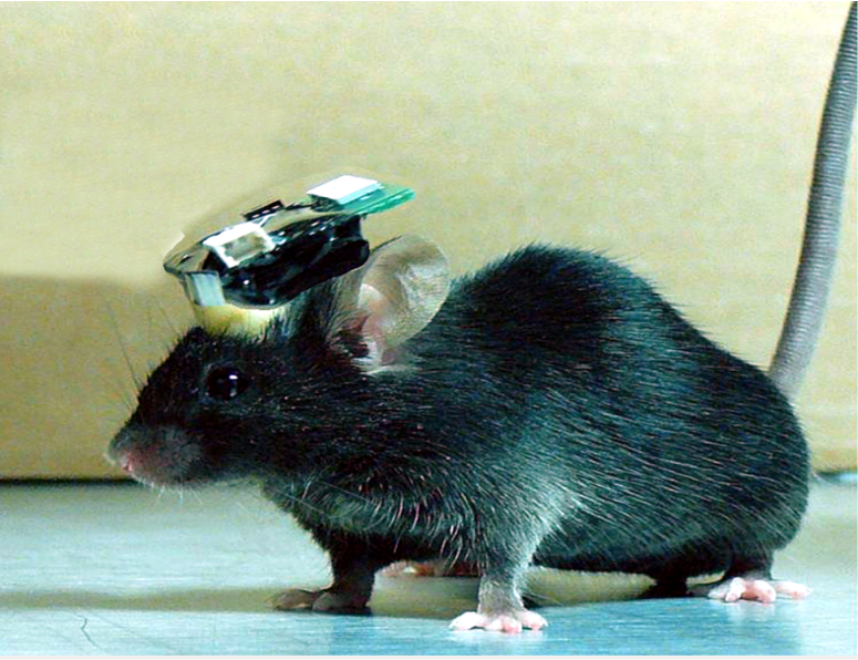 Index of /assets/features/