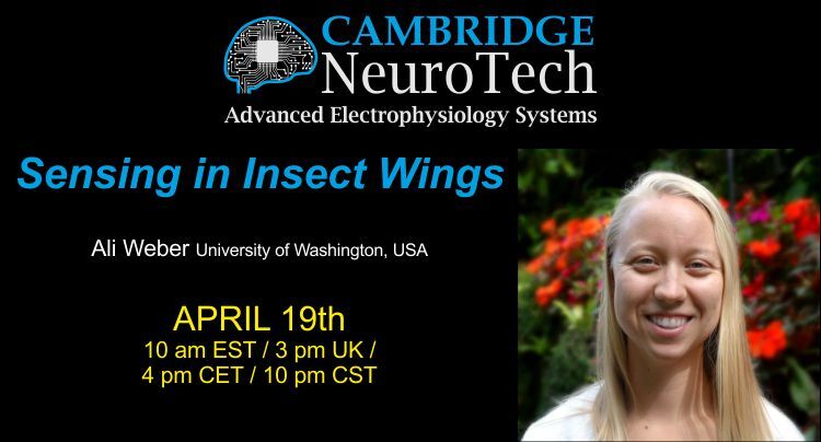 Index of /assets/files/